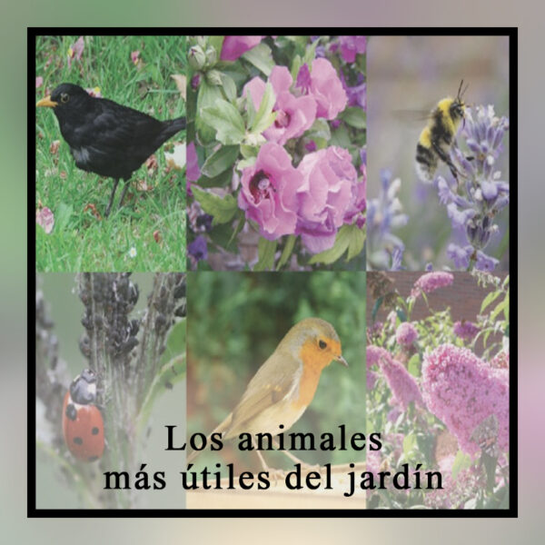 Los animales más útiles del jardín – Naturplant Viveros